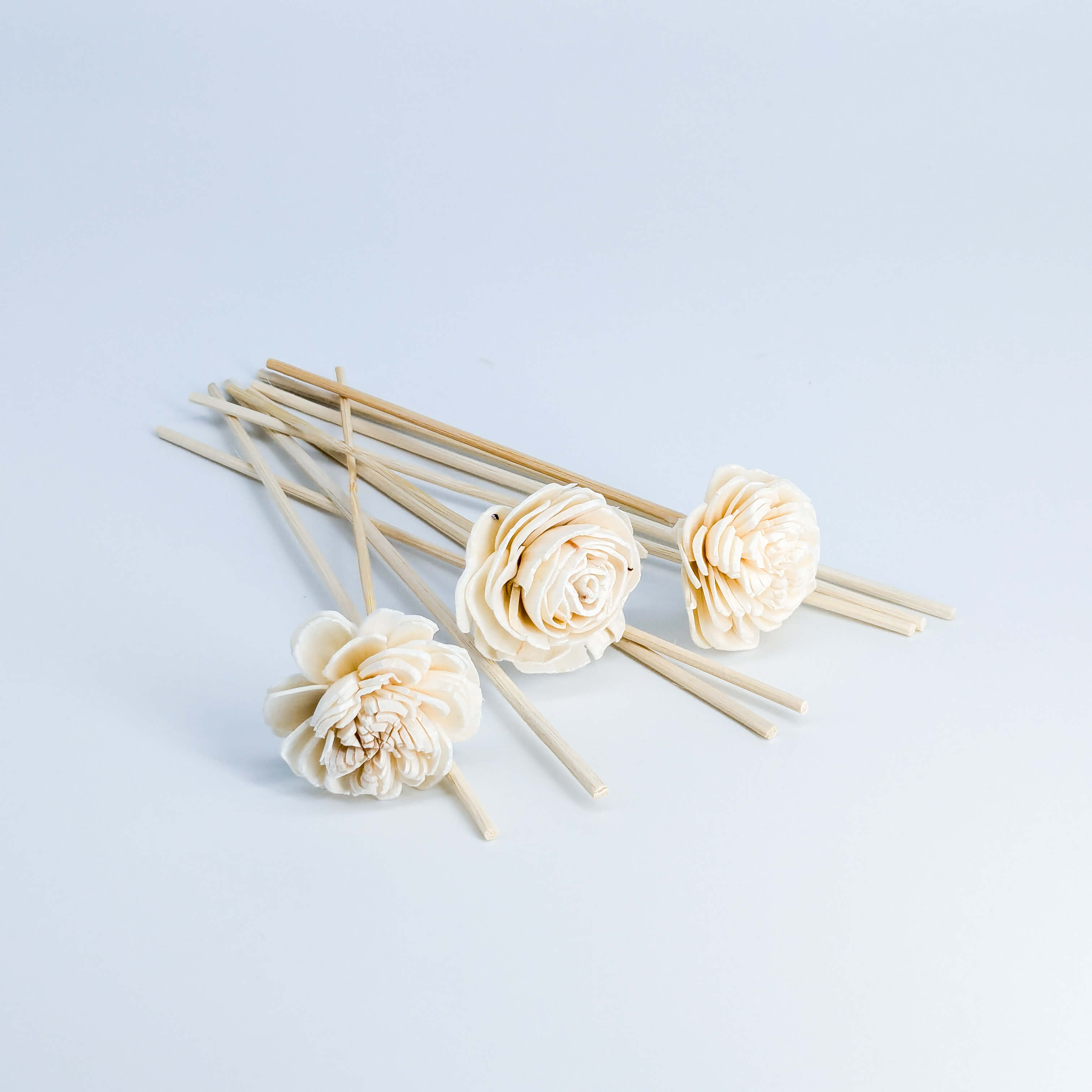 Replacement Reed and Flower Bundle – Orleans Home Fragrances