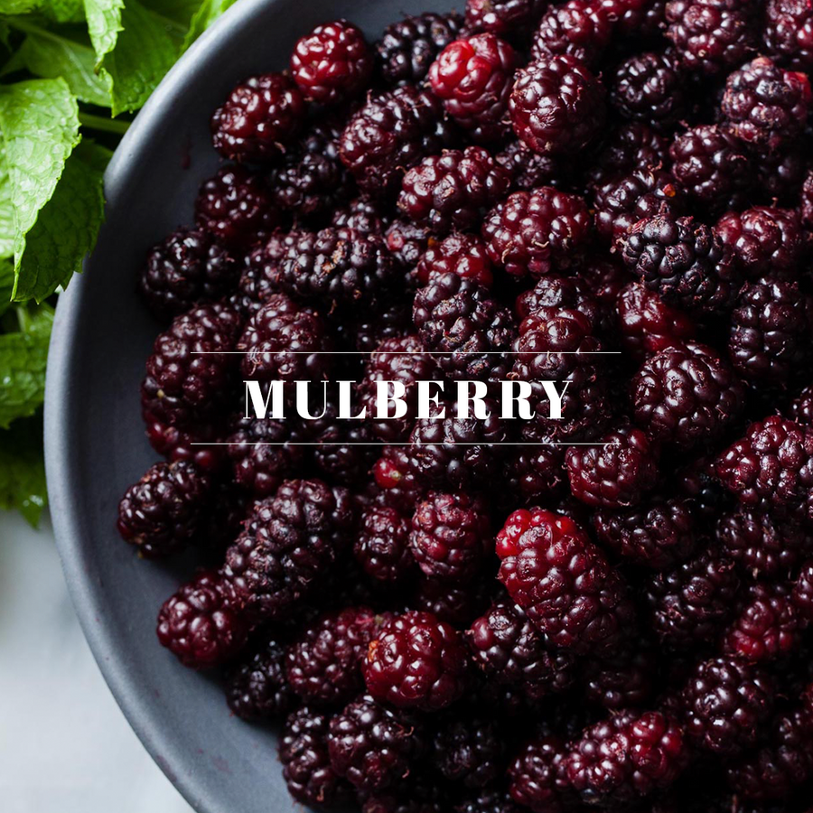 Mulberry – Orleans Home Fragrances